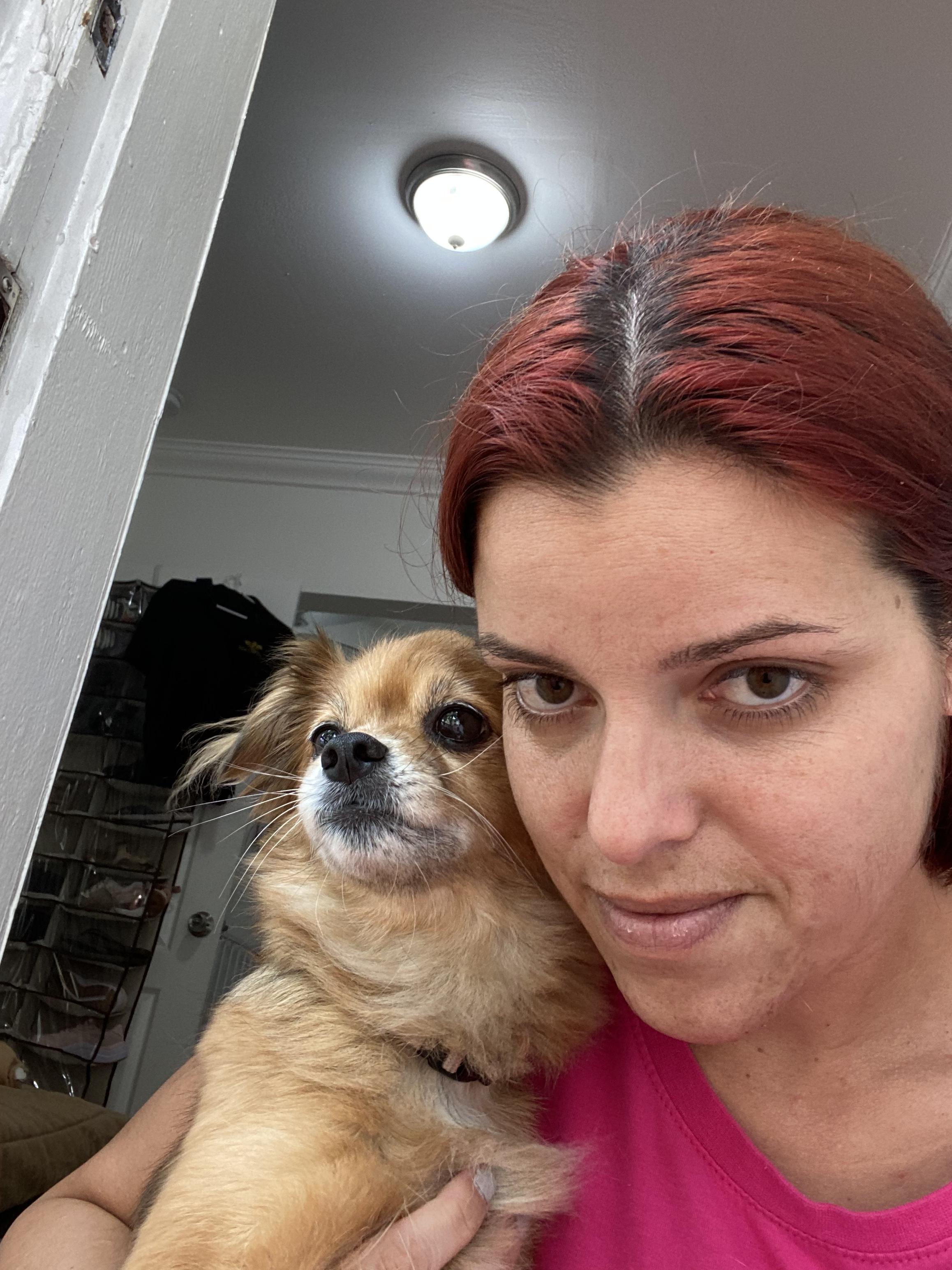 Lola - A Female Dog Lost - 103rd st nw 30th ave, West Little River, Florida, 33147 - PawMaw