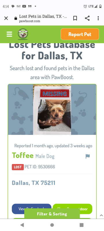 Lul - A Male Dog Lost - CottonValley Rd, Dallas, Texas, 75232 - PawMaw