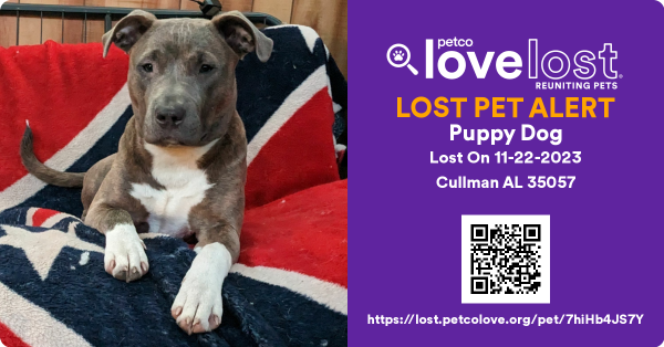 Penney - A Female Dog Lost - 1285, South Main Street, Graysville ...