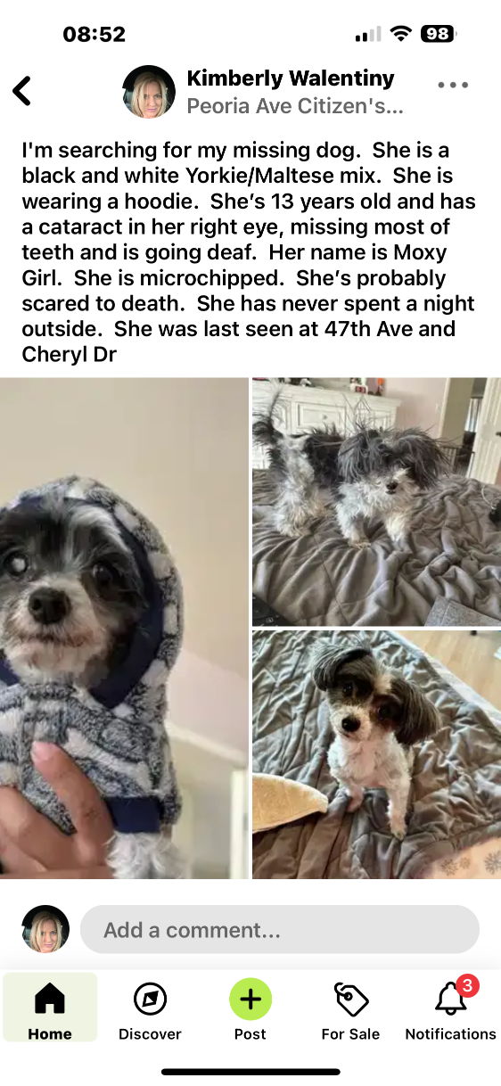 Moxy Girl - A Female Dog Reunited - 4704 West Cheryl Drive, Glendale ...