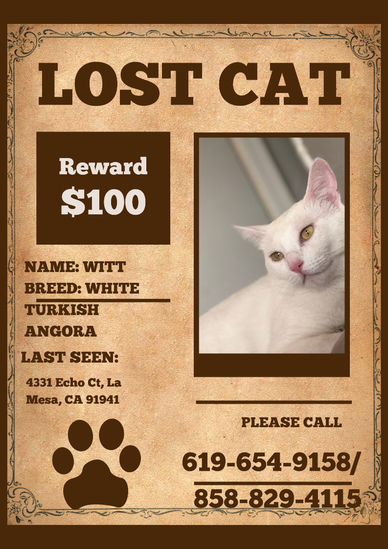 Oreo - A Male Cat Lost - 10359, Centinella Drive, La Mesa, California ...